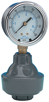 SYGEF® GAUGE GUARD, 0-100 PSI - 5343.020